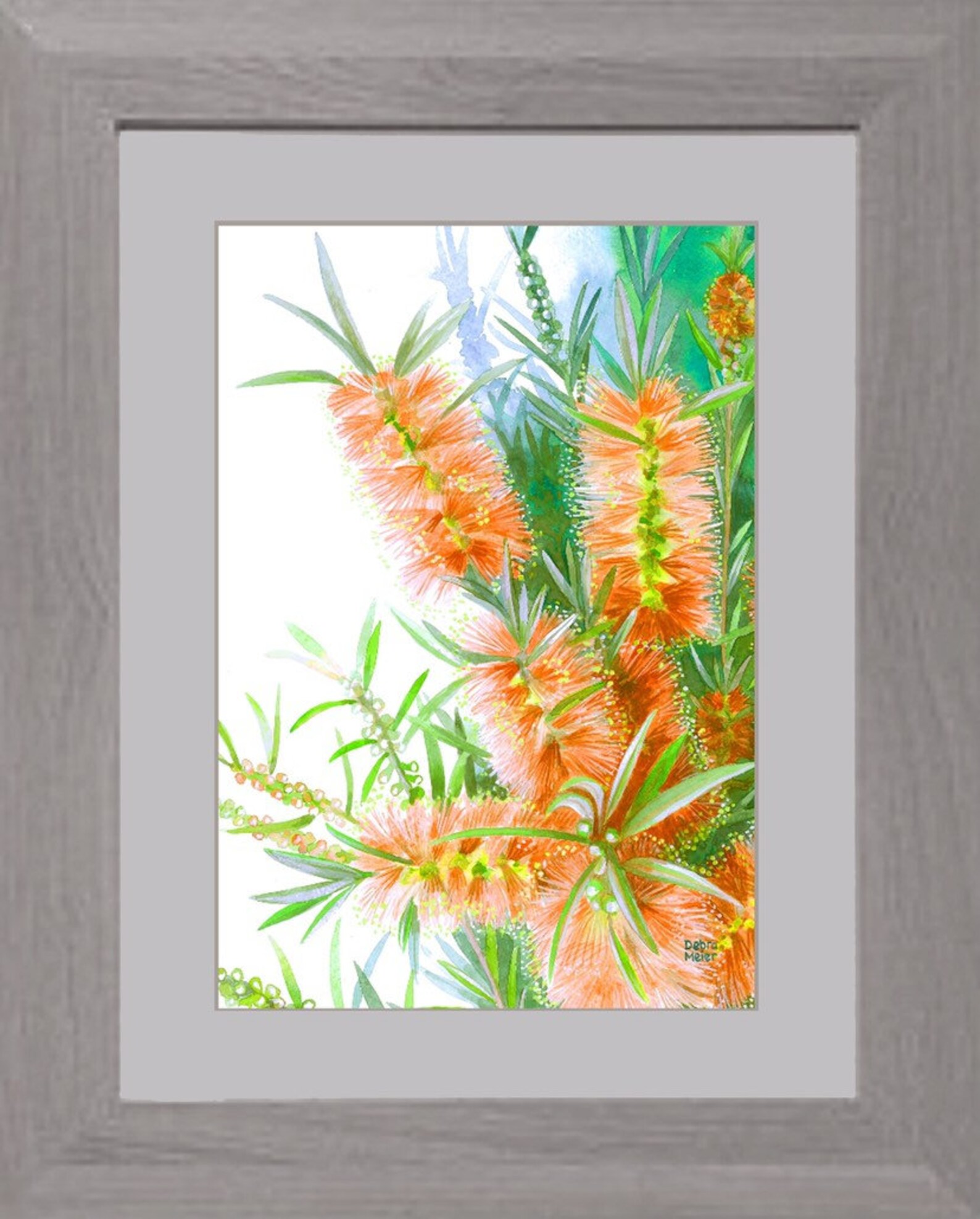 Orange Native Flower Trio by Debra Meier Art, Australian Native Flowers ...