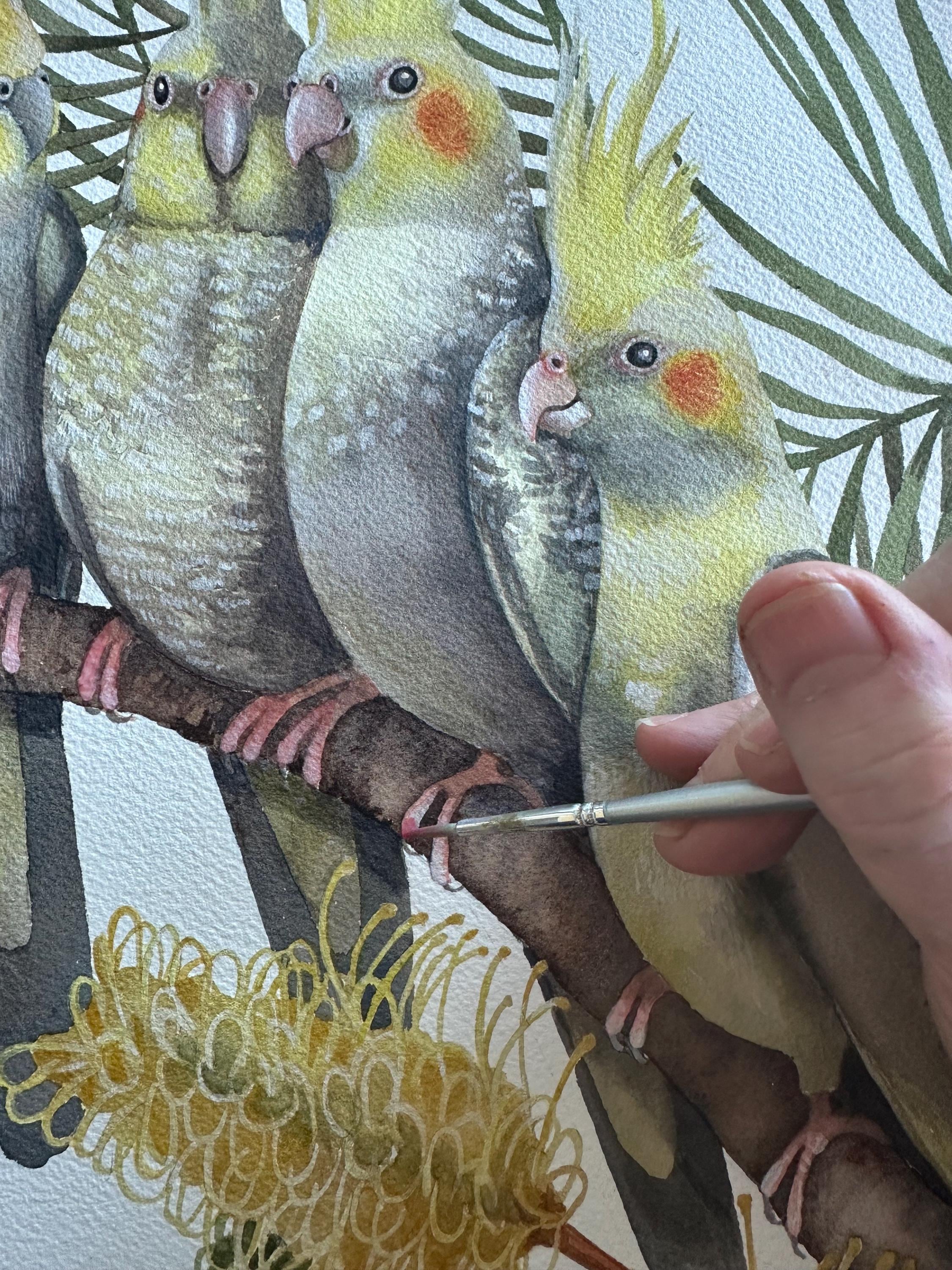 Cockateils on Grevillea by Debra Meier Art, Australian Native Bird ...