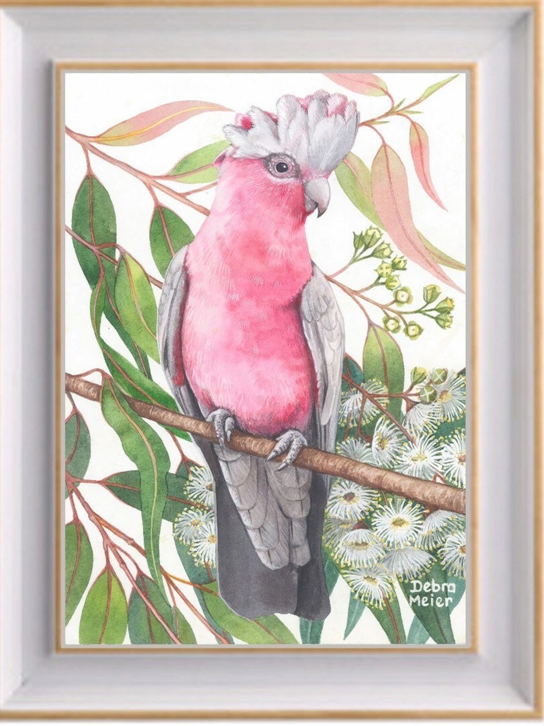 Galah by Debra Meier Art Australian Native Bird Print Galah - Etsy