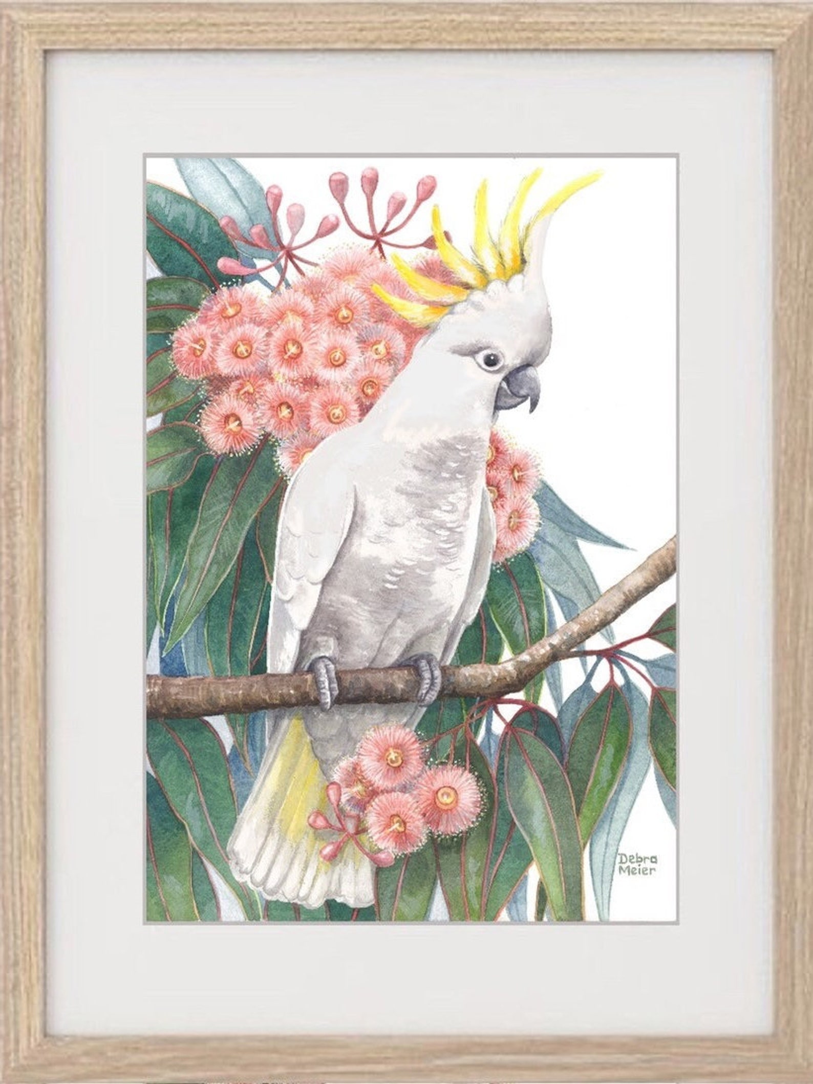 Backyard Bird Series by Debra Meier Art, Australian Native Bird Prints ...