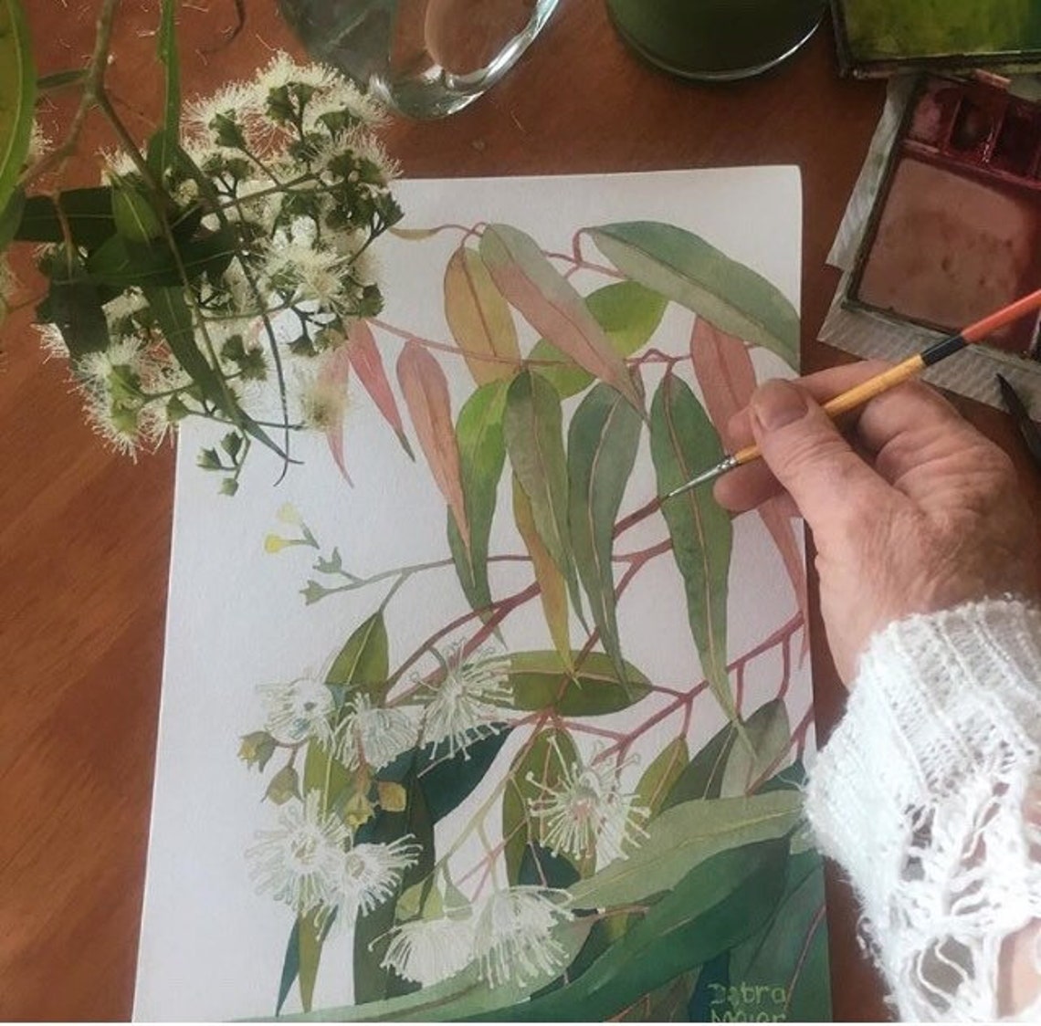 White Gumblossoms Gumblossom Print Gumtree Flower Wall Art | Etsy