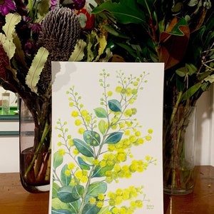 Wattle Sprig by Debra Meier Art, Wattle Wall Art, Australian Native Art ...