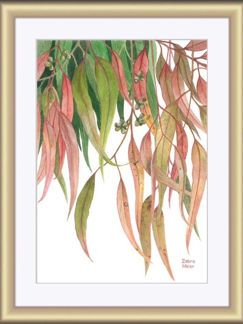 Gumleaves Print by Debra Meier Art, Australian Native Art Print ...