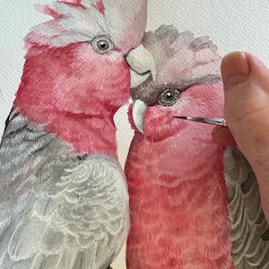 Galah Pair by Debra Meier Art, Australian Native Bird Print, Galah and ...