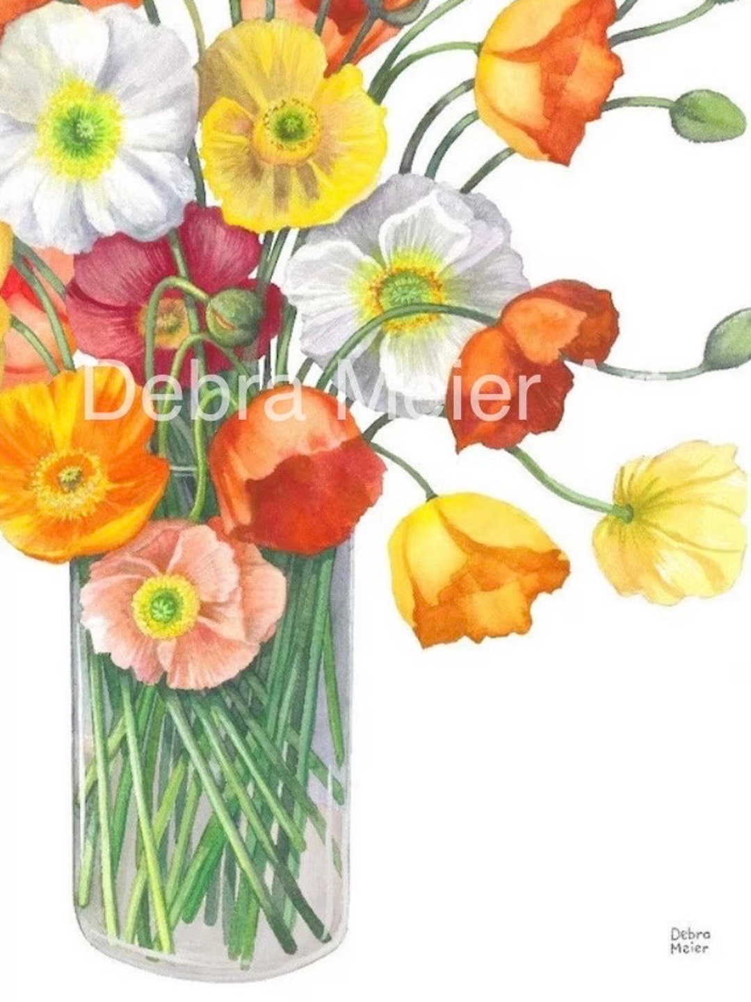 Poppies by Debra Meier Art, Floral Art, Poppies Watercolour Print ...