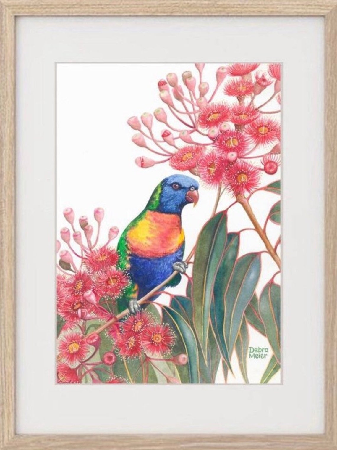Backyard Bird Series by Debra Meier Art, Australian Native Bird Prints ...