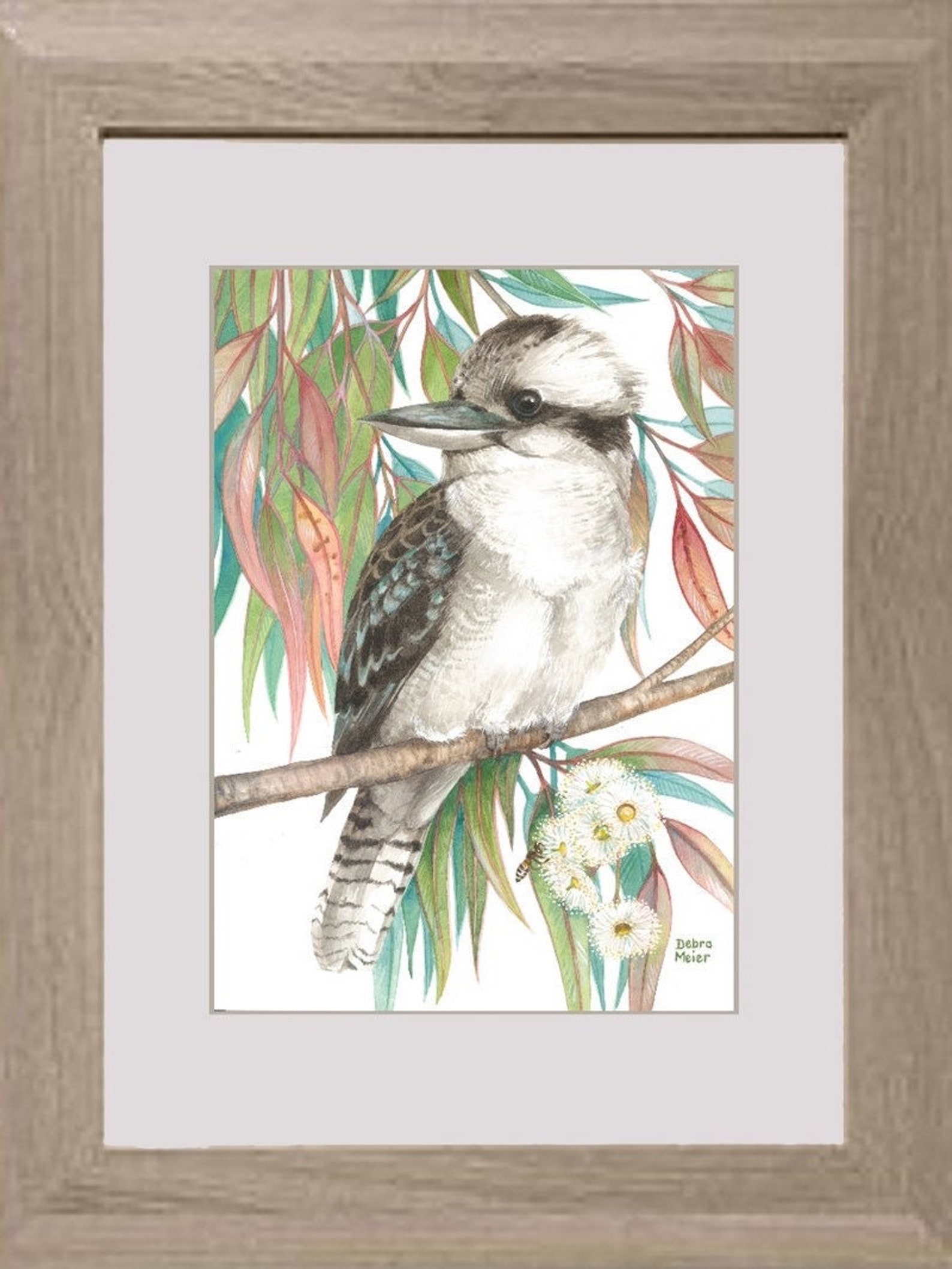 Kookaburra by Debra Meier Art, Native Bird Watercolour, Australian Bird ...