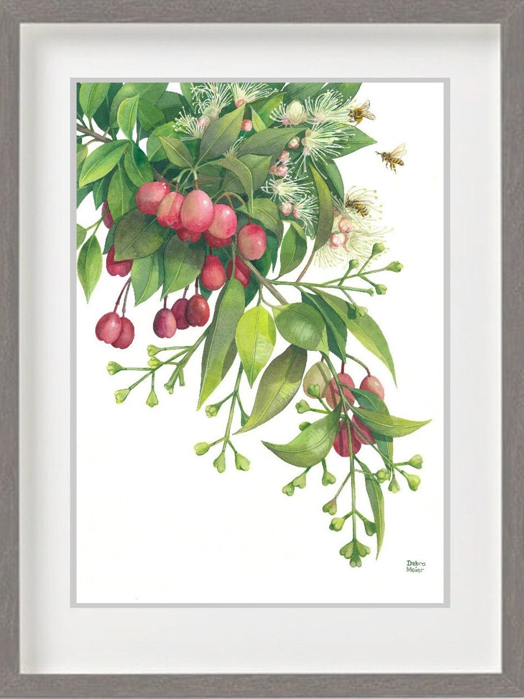 Lilli Pilli Art Print by Debra Meier Art, Australian Native Print ...