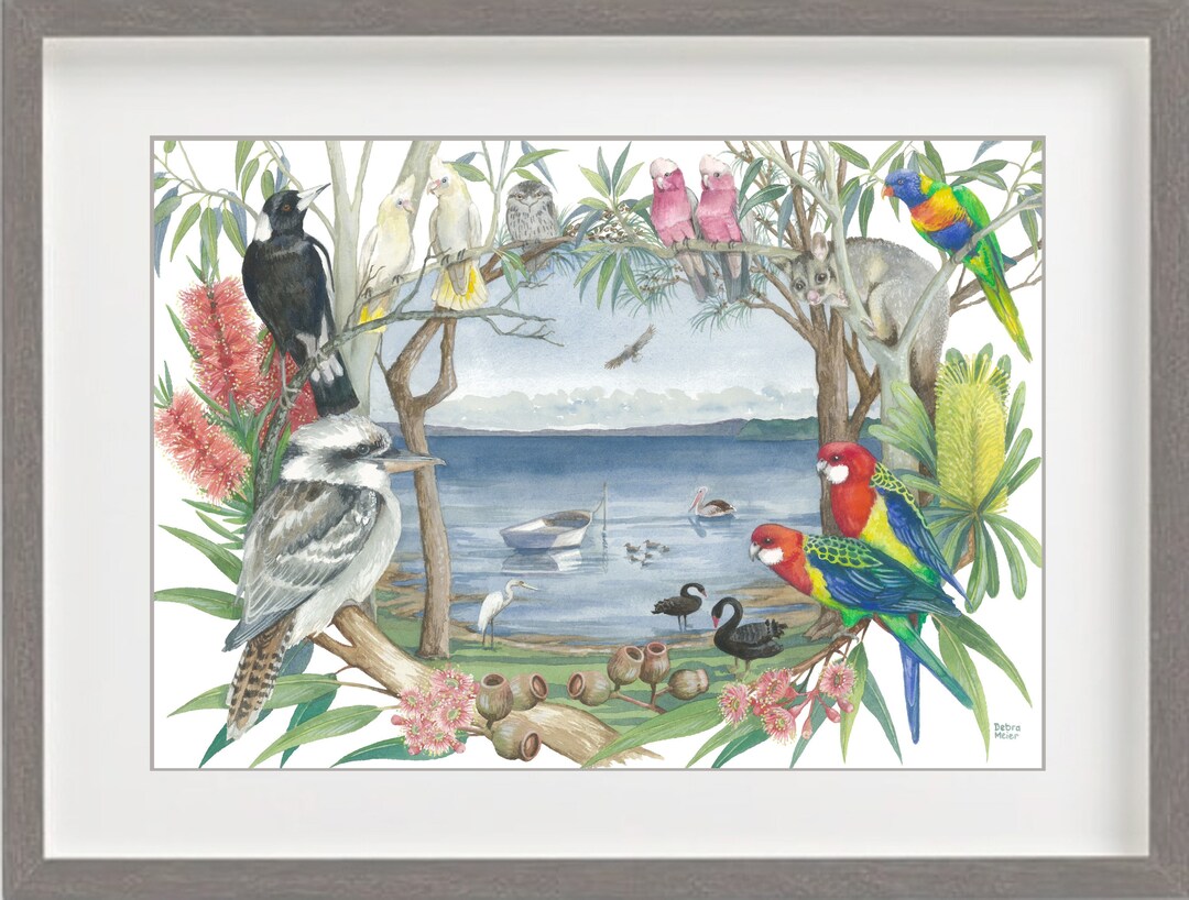 Tuggerah Lakes Scene by Debra Meier Art Australian Natives - Etsy