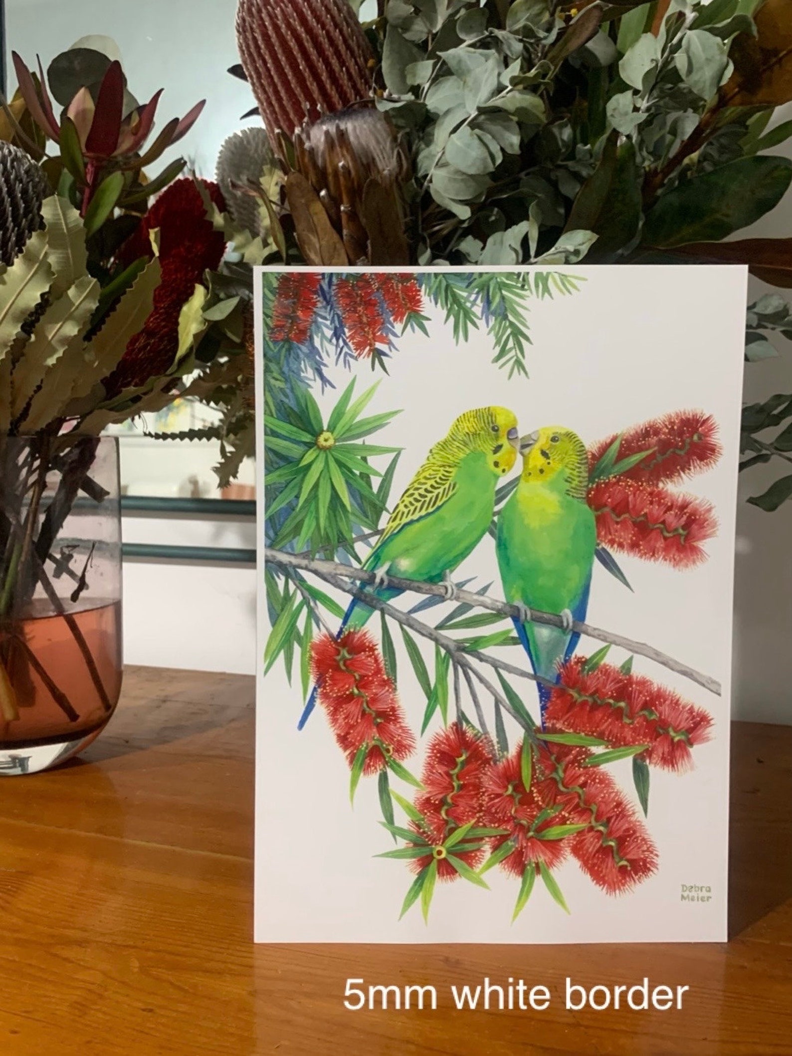 Budgerigar Green Pair Print by Debra Meier Art, Australian Native Bird ...