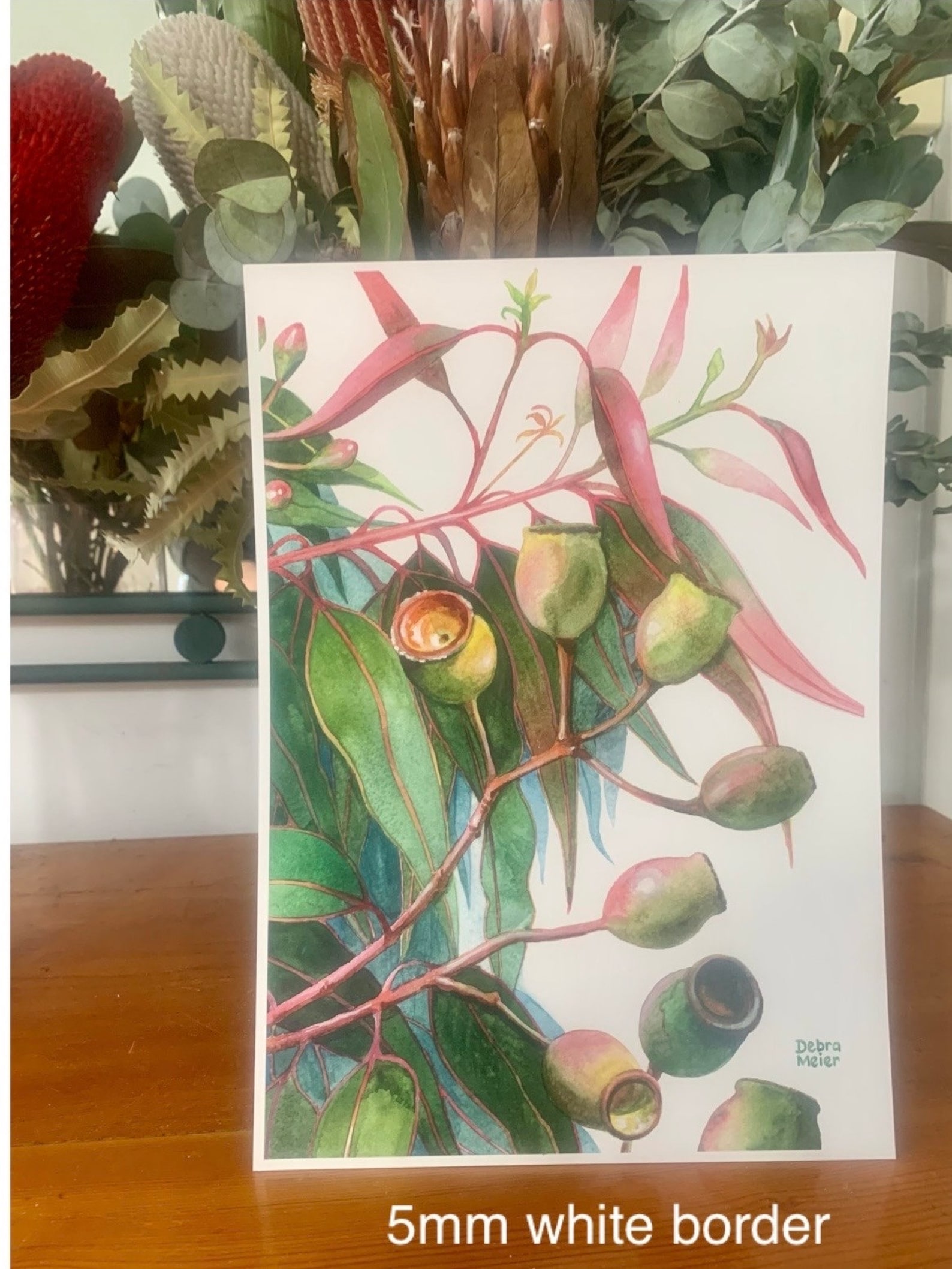 Gumnuts Print by Debra Meier Art, Australian Native Art Print ...