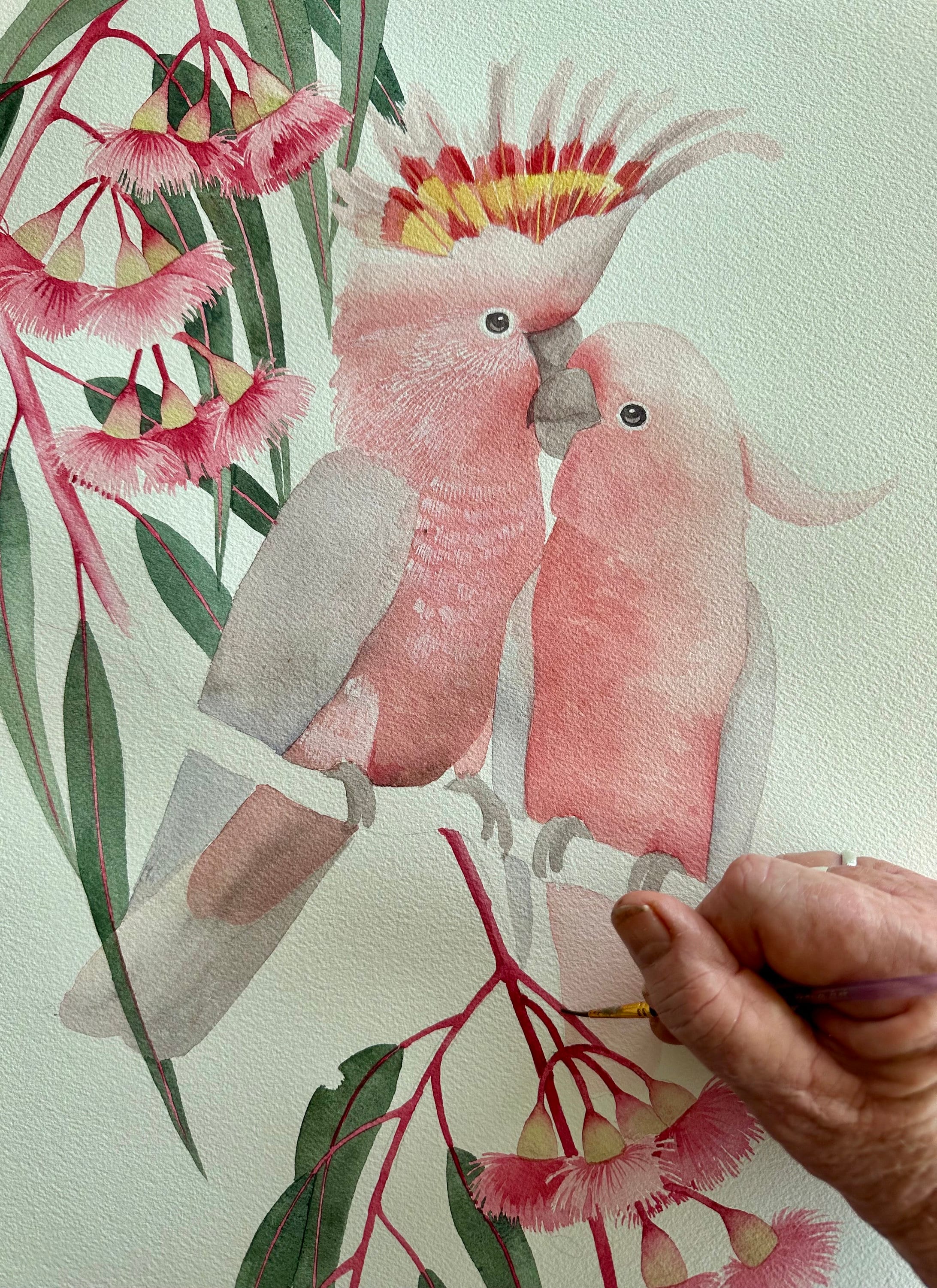 Cockatoo Pink Pair Print by Debra Meier Art, Australian Native Bird ...