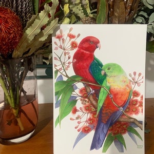 Parrot King Pair by Debra Meier Art, Australian Native Bird Print, Red ...