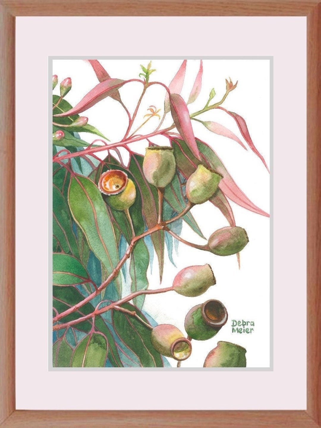 Gumnuts Print by Debra Meier Art, Australian Native Art Print ...