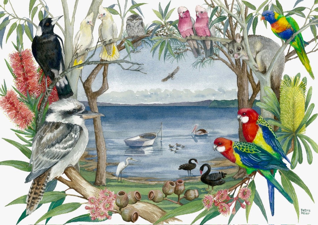 Tuggerah Lakes Scene by Debra Meier Art, Australian Natives Print ...