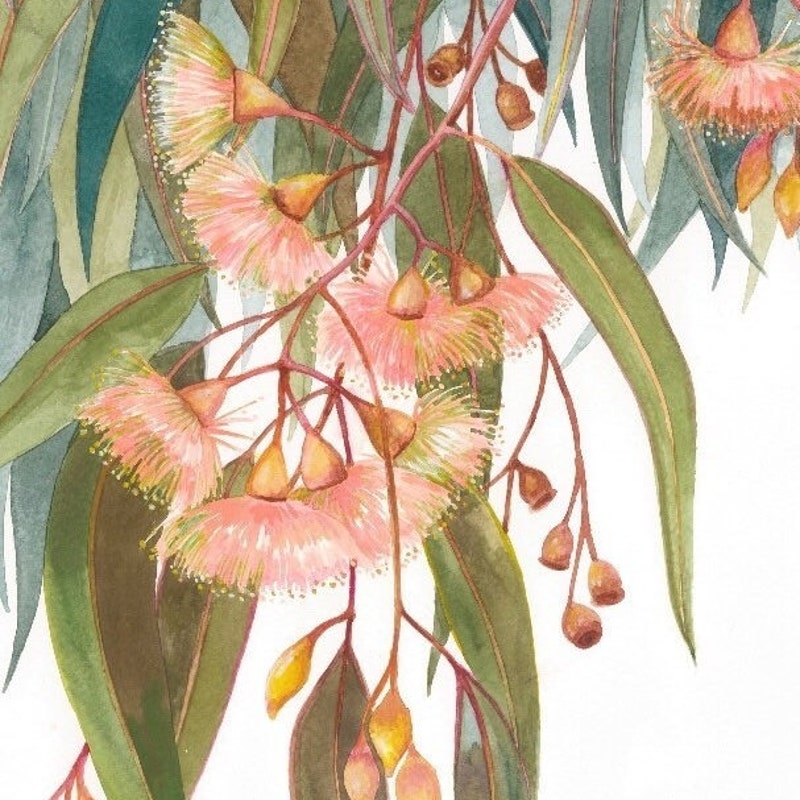 Australian Native Print - Etsy Australia