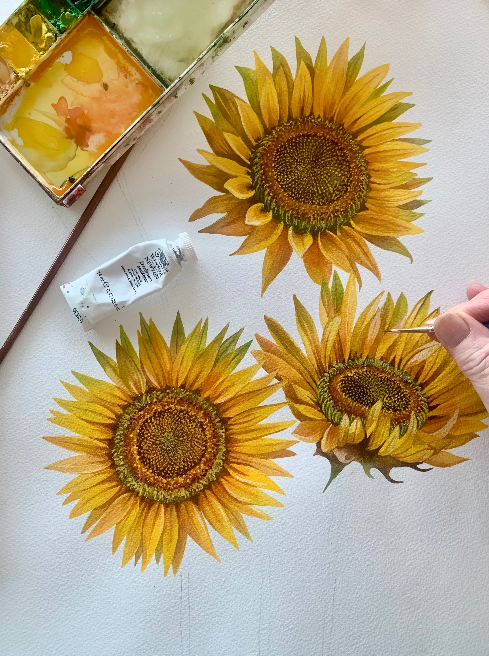 Sunflowers by Debra Meier Art, Flower Art, Sunflower Print, Flower ...