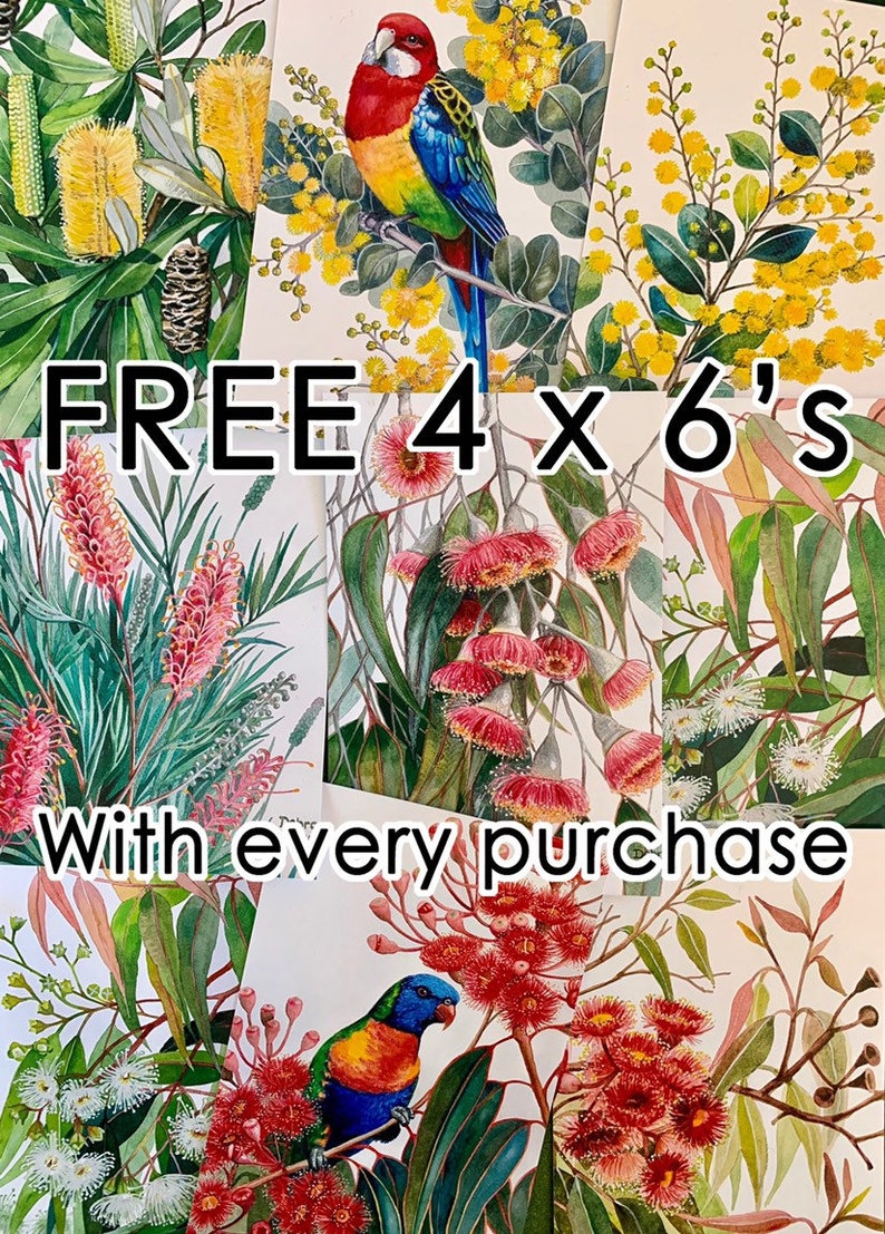 White Gumblossoms Gumblossom Print Gumtree Flower Wall Art | Etsy