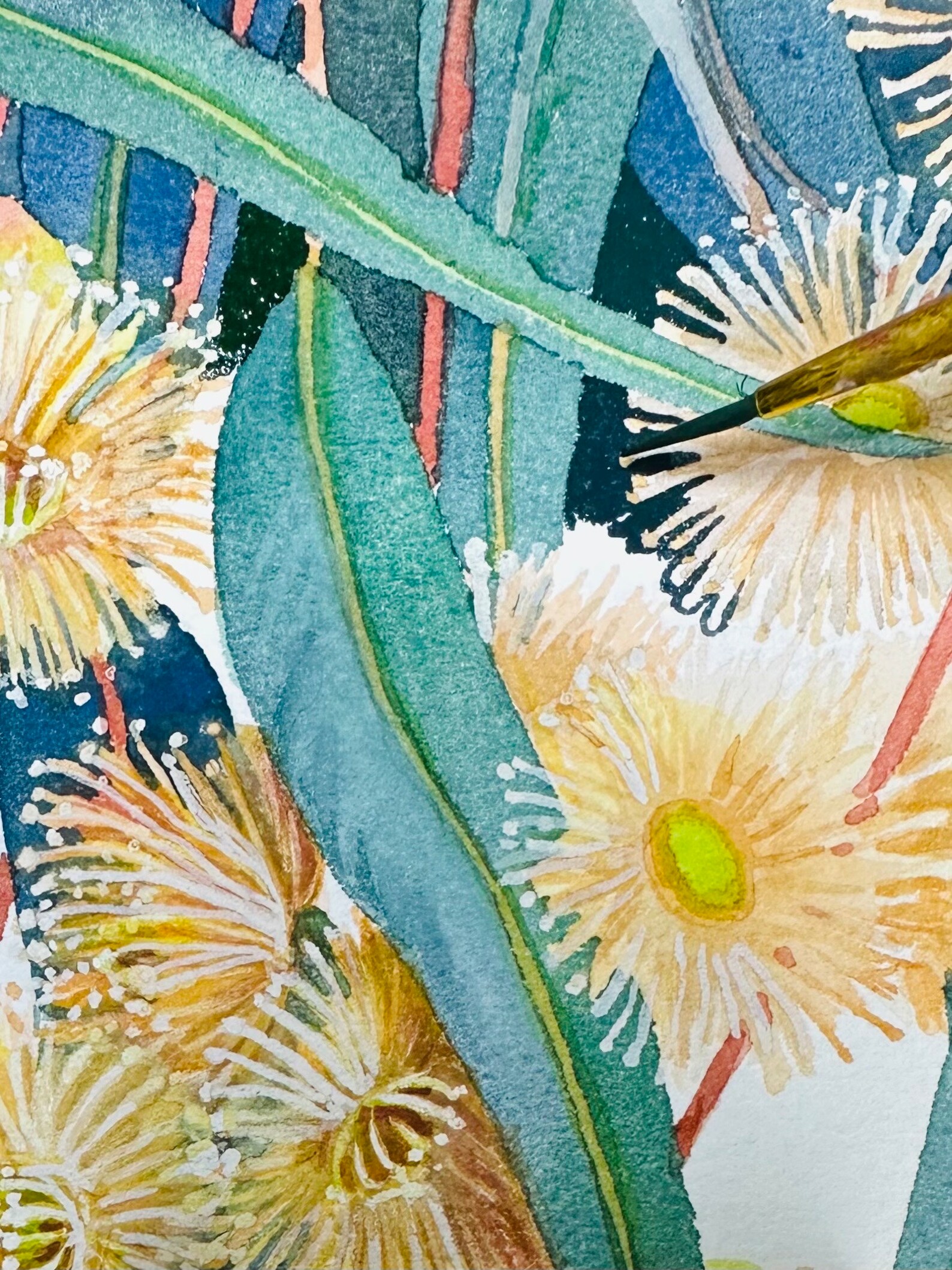 Gumblossoms Peachy Print, Australian Native Print, Gumblossom Print ...