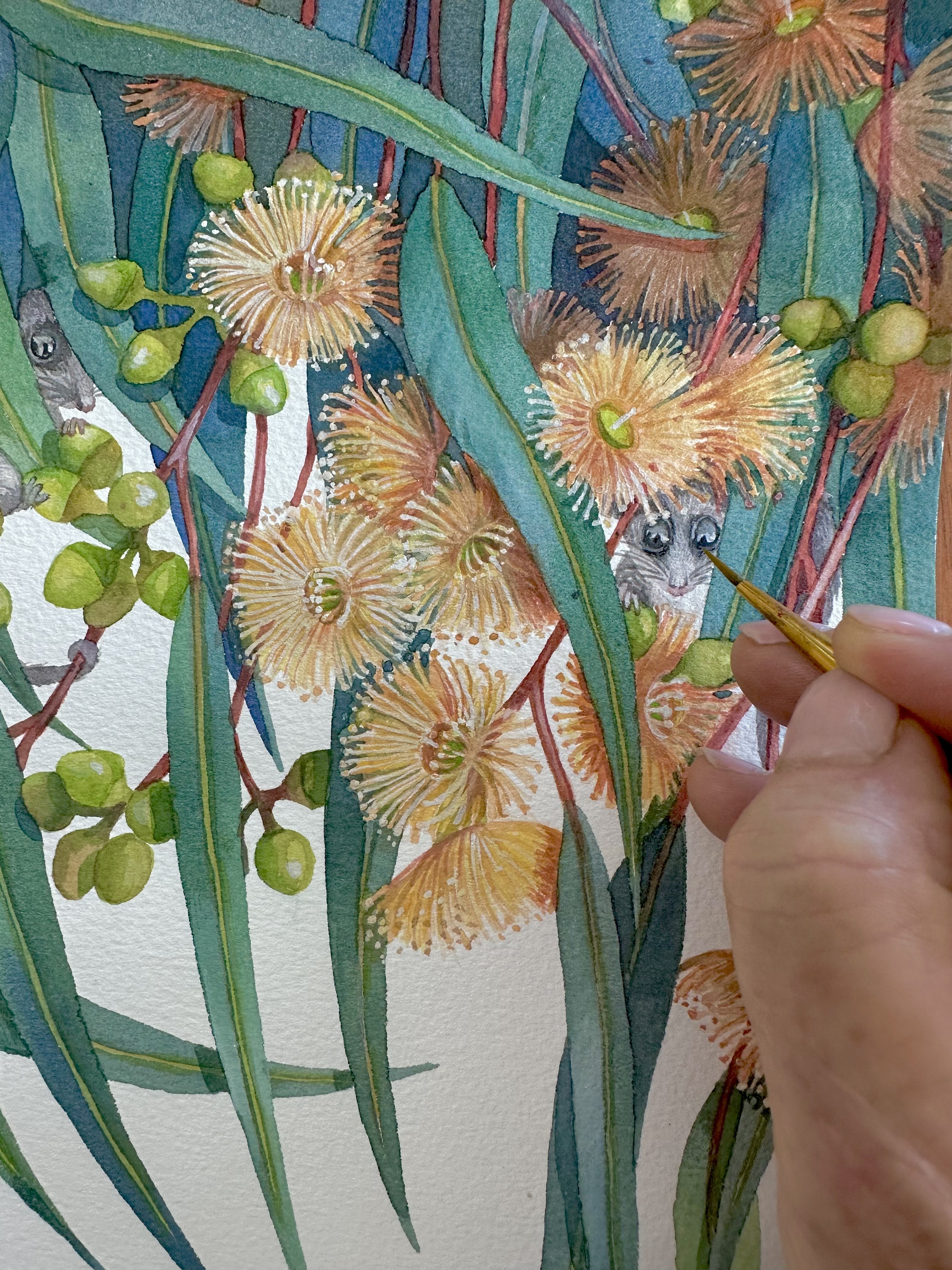 Gumblossoms Peachy Print, Australian Native Print, Gumblossom Print ...