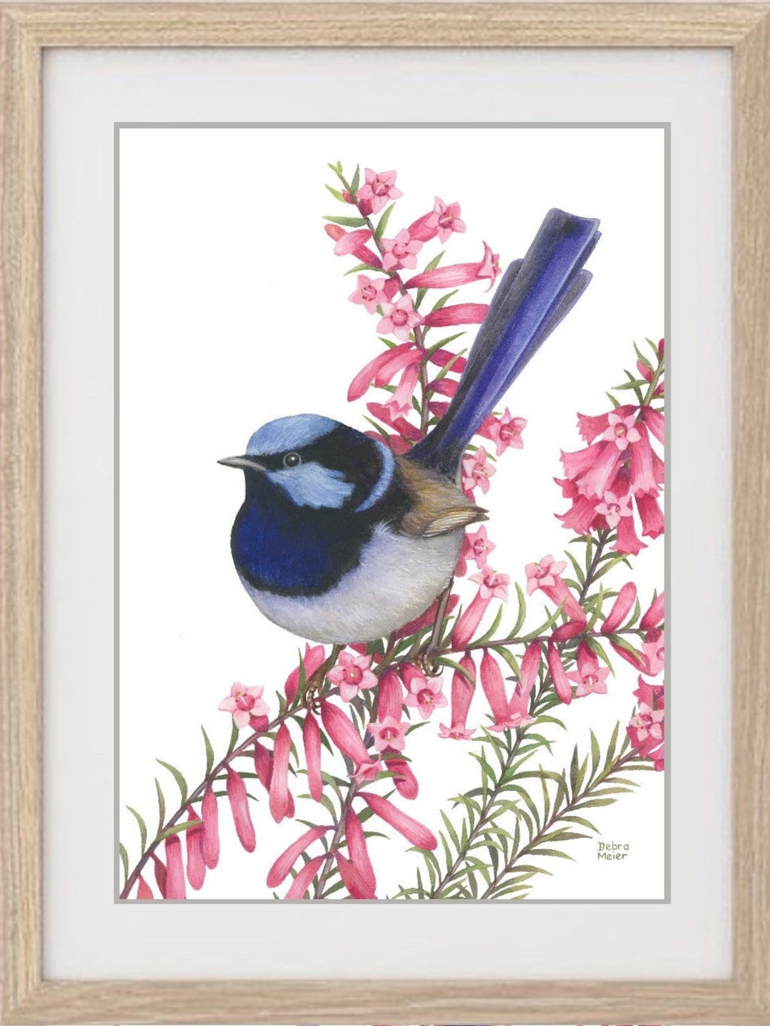 Fairy Wren by Debra Meier Art Pink Heath Flower Print - Etsy Australia