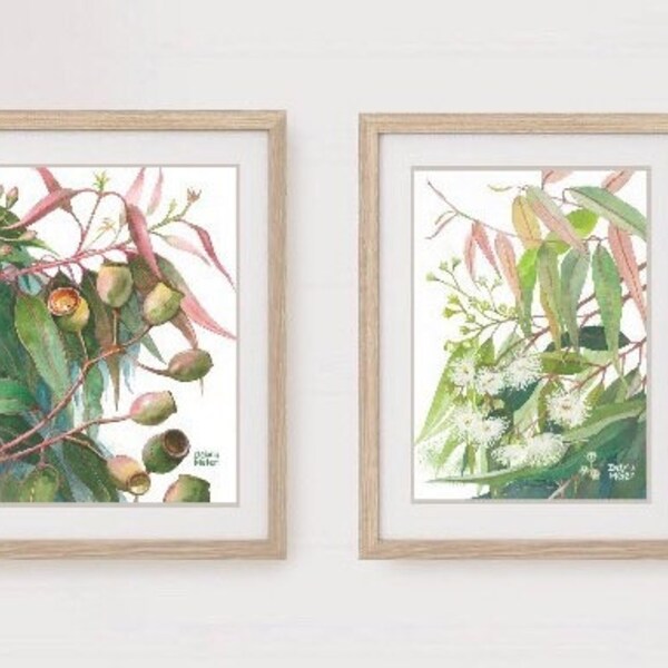 Gumnuts - Etsy