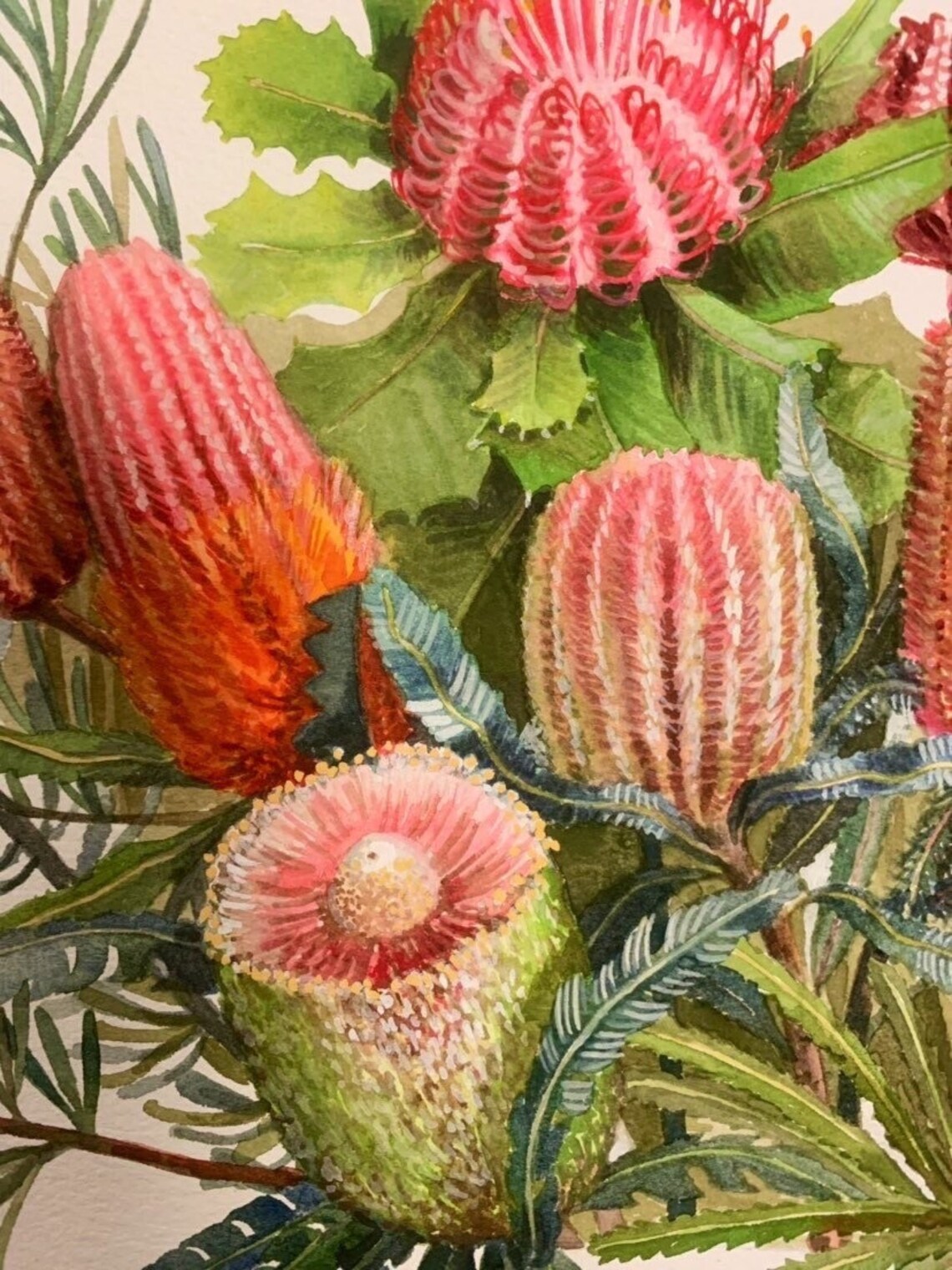 Banksias Bunch in Vintage Tin by Debra Meier Art, Portrait Orientation ...