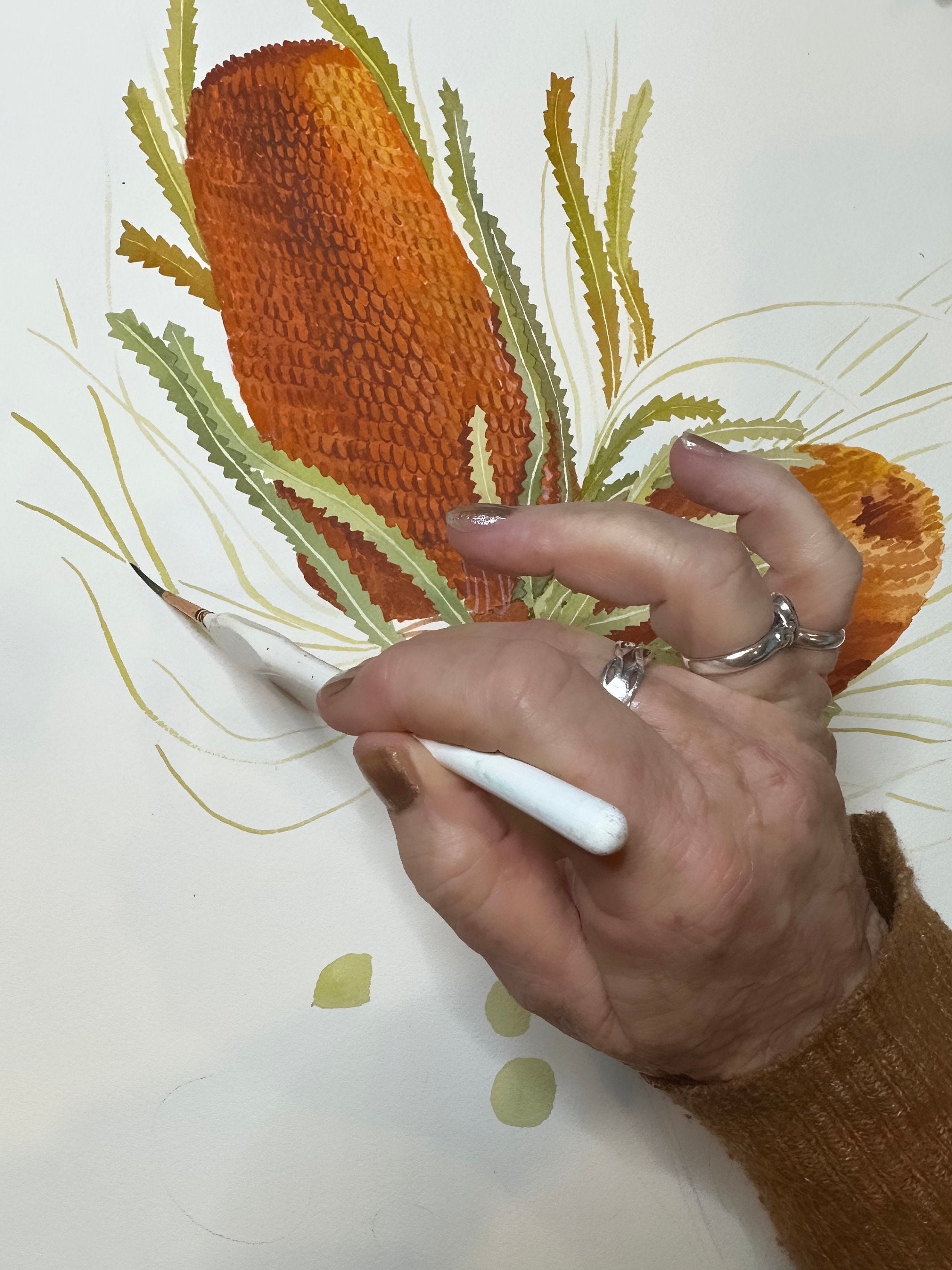Banksia and Flannel Flower Print by Debra Meier Art, Australian Native ...