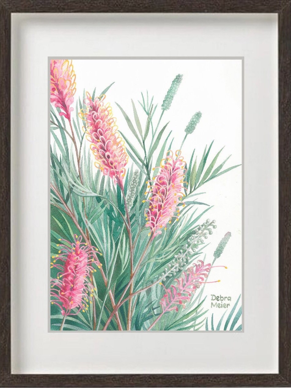 Grevillea Pink Print by Debra Meier Art, Australian Native Art Print ...