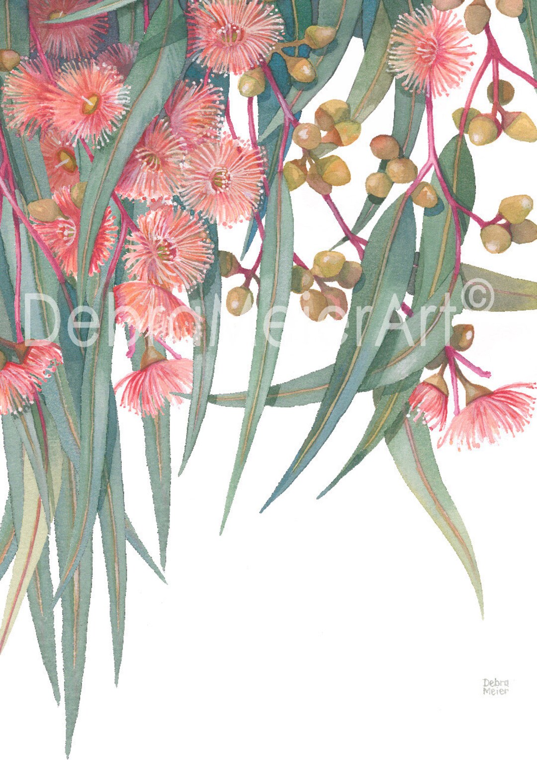 Gumblossoms Carmine Print by Debra Meier Art, Australian Native Print ...