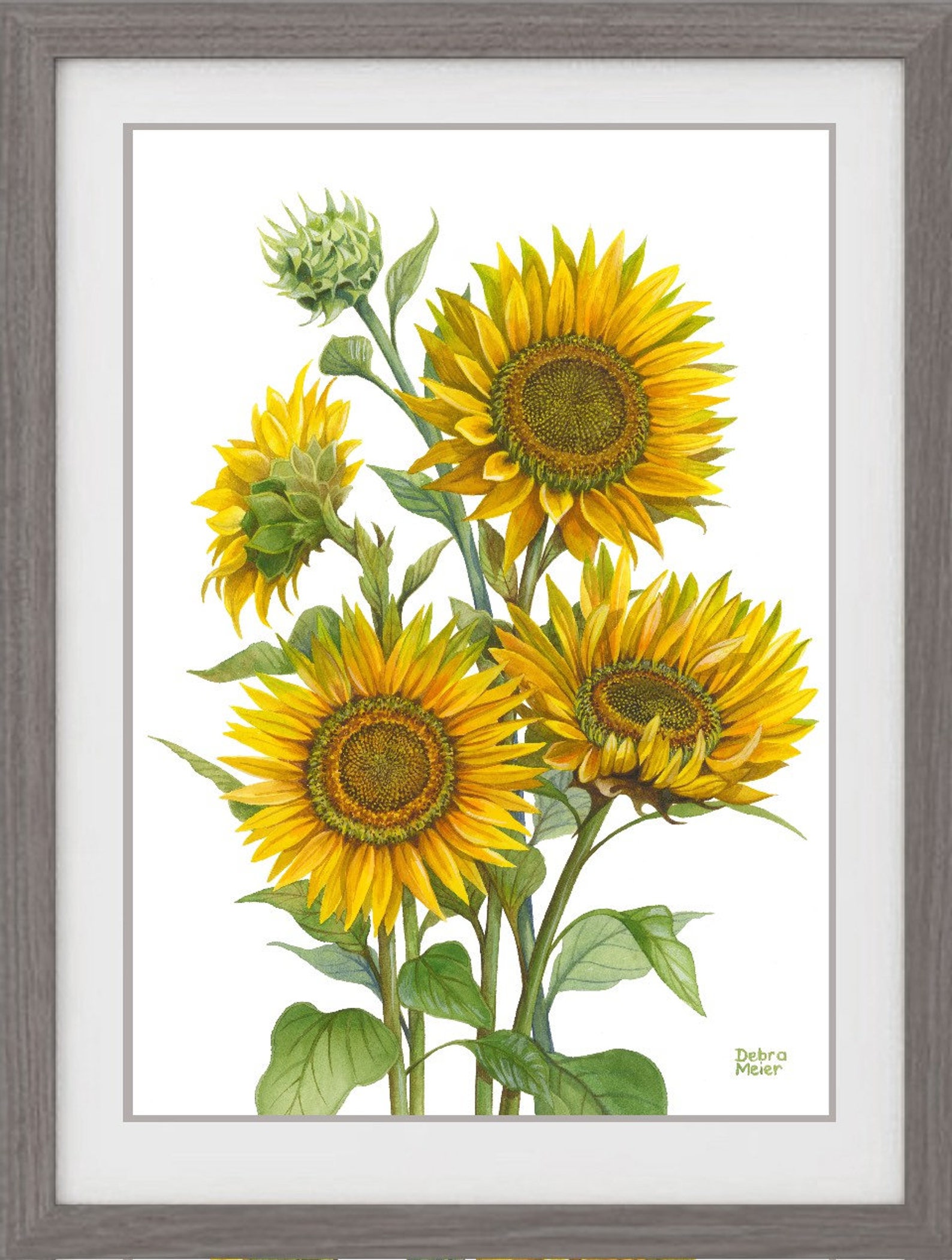Sunflowers by Debra Meier Art, Flower Art, Sunflower Print, Flower ...