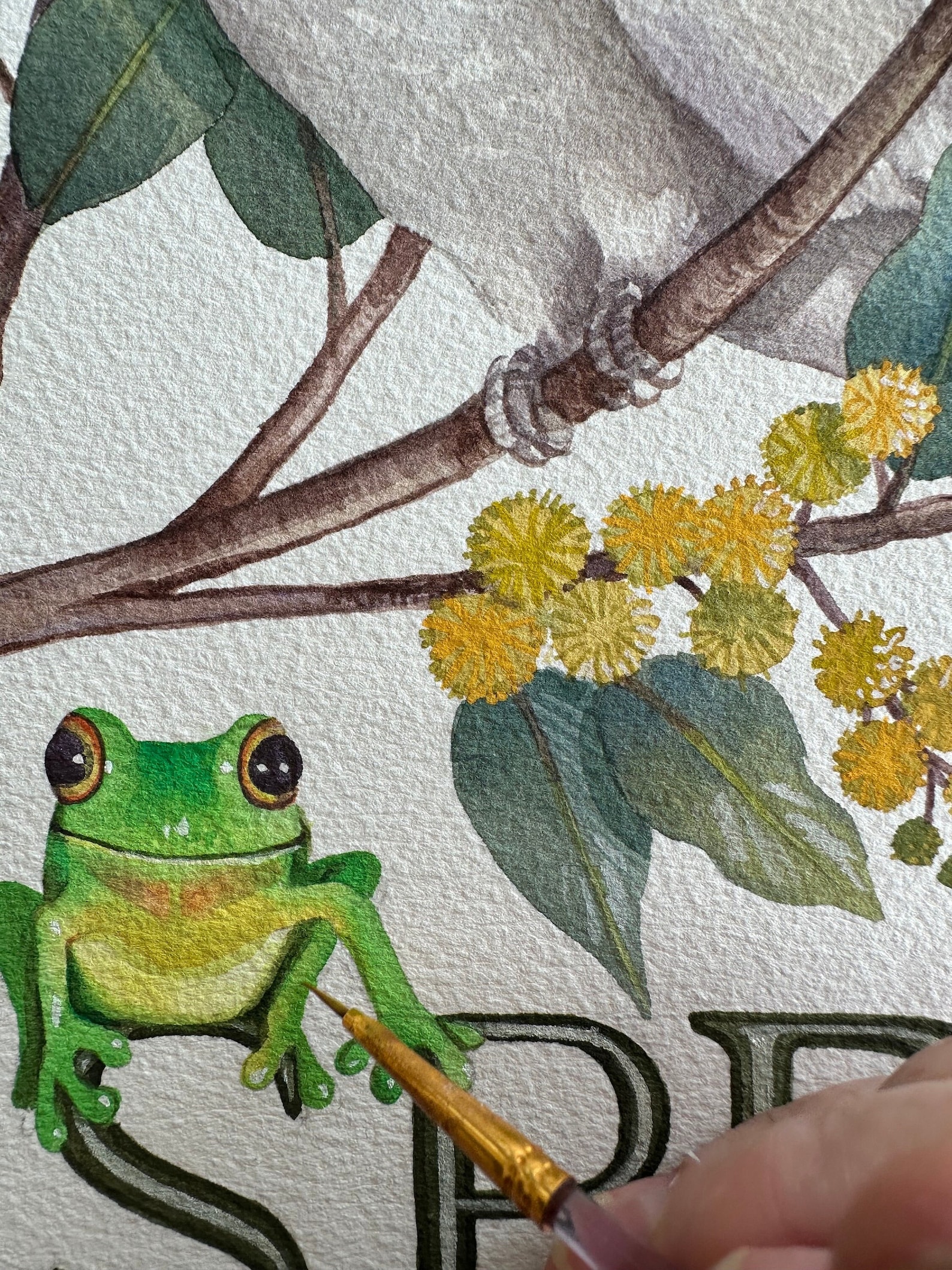 The Spring Muse by Debra Meier Art, Australian Native Art,australian ...