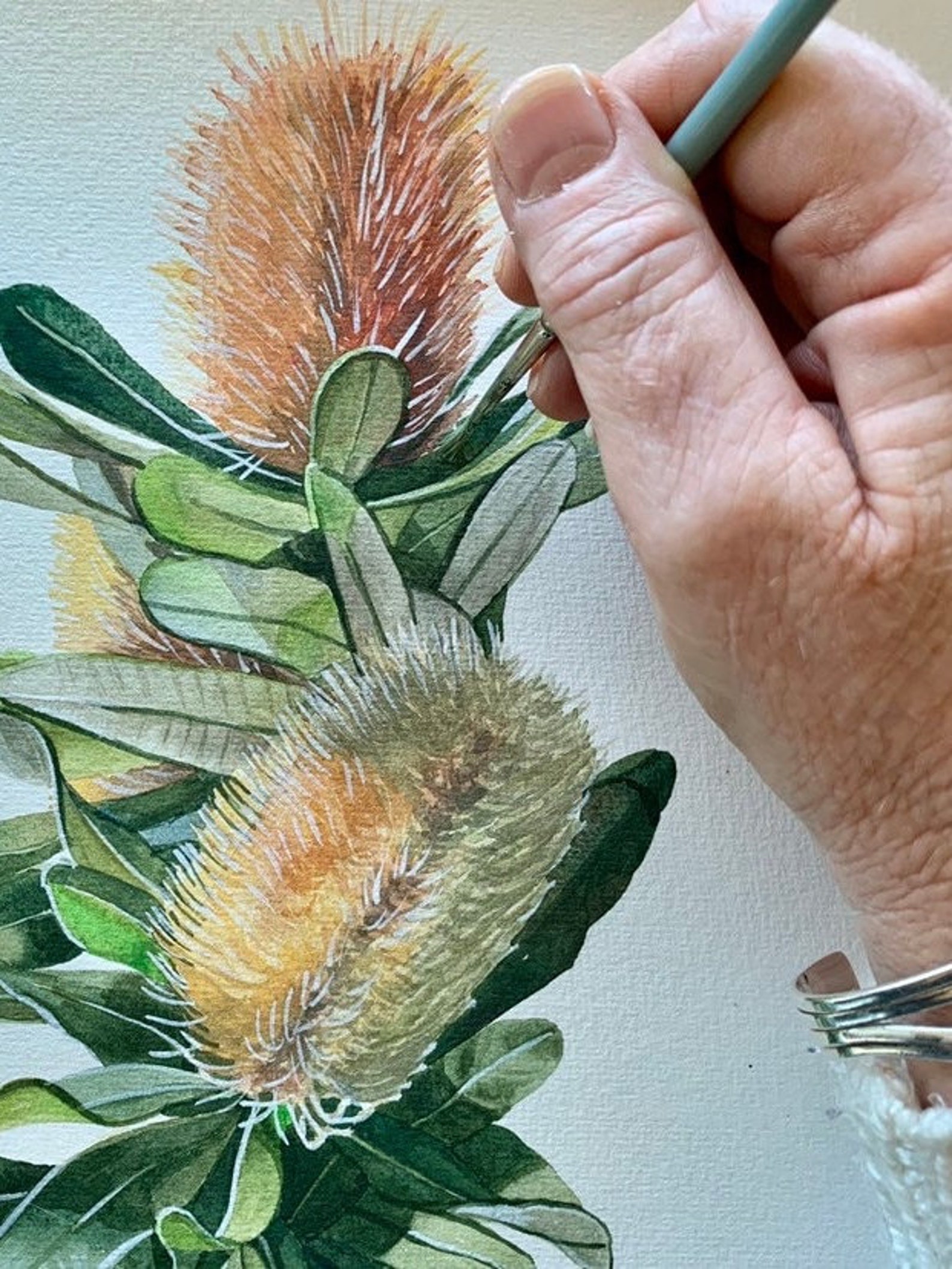 Banksias Coastal Three by Debra Meier Art, Australian Native Flower ...
