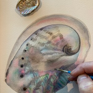 Shell Painting Trio by Debra Meier Art, Shell Watercolours, Shell Art ...