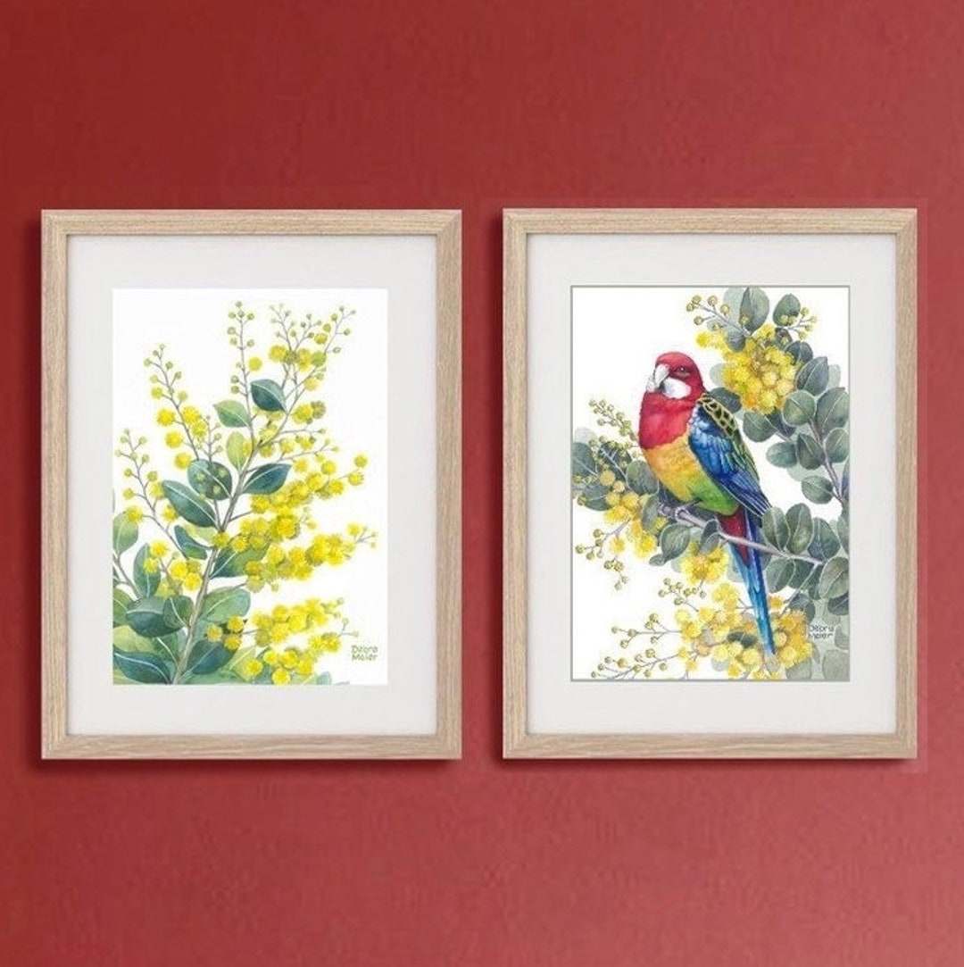 Rosella Eastern and Wattle Print by Debra Meier Art, Native Bird Wall ...