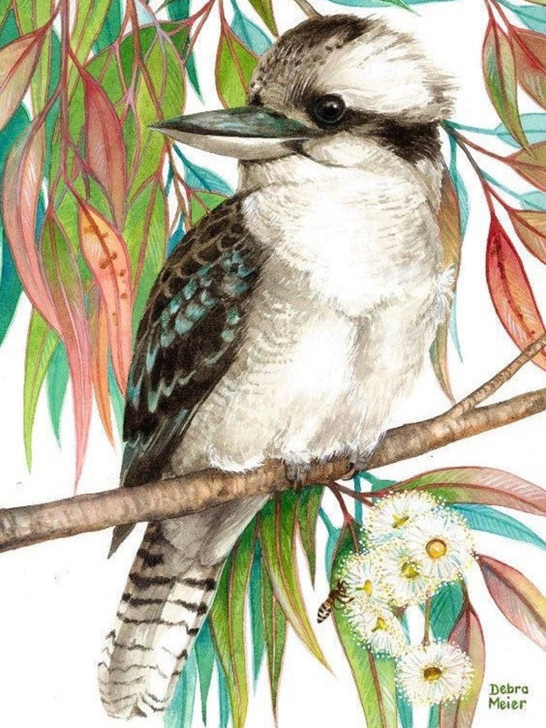 Kookaburra by Debra Meier Art, Native Bird Watercolour, Australian Bird ...