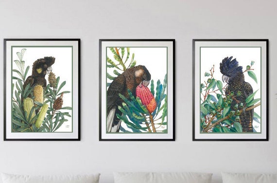 Triple Set of Black Cockatoos and Gumblossoms Australian - Etsy Australia