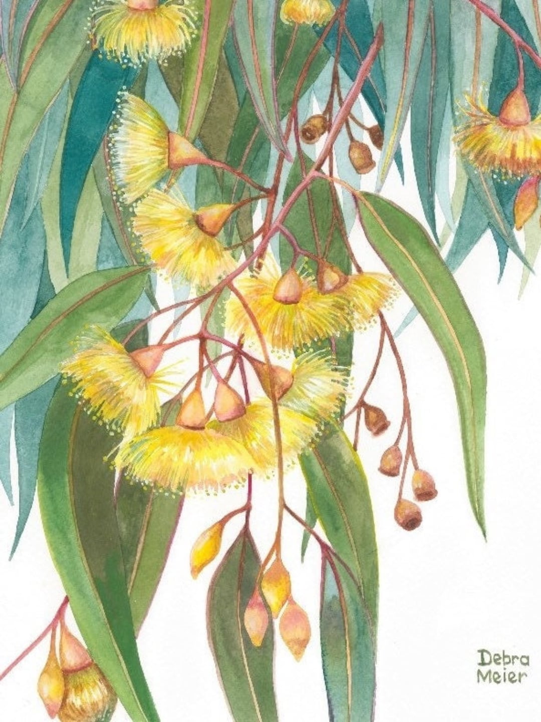 Gumblossoms Yellow Print by Debra Meier Art, Gumblossom Print, Gumtree ...