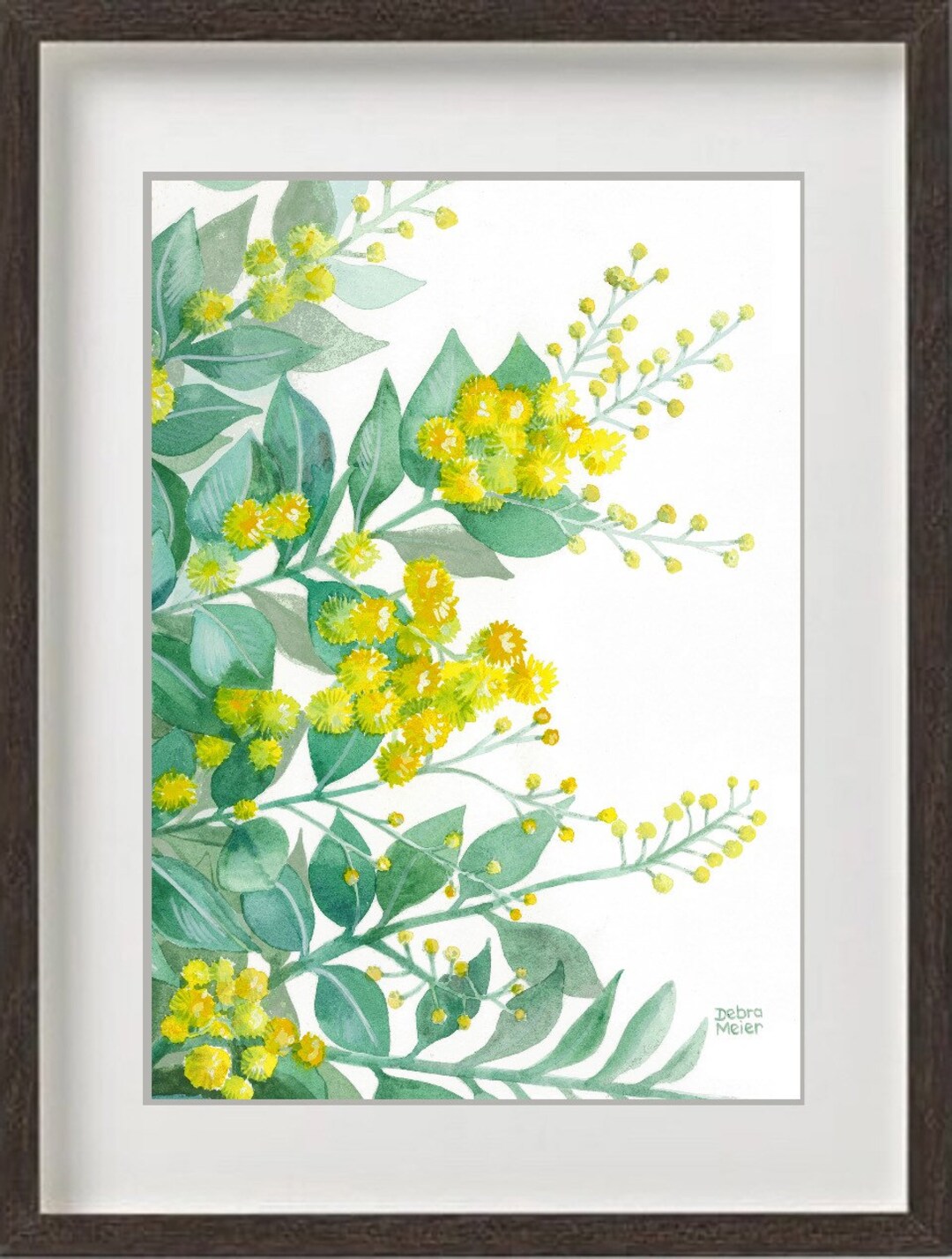 Australian Wattle Wattle Wall Art Australian Native Art - Etsy