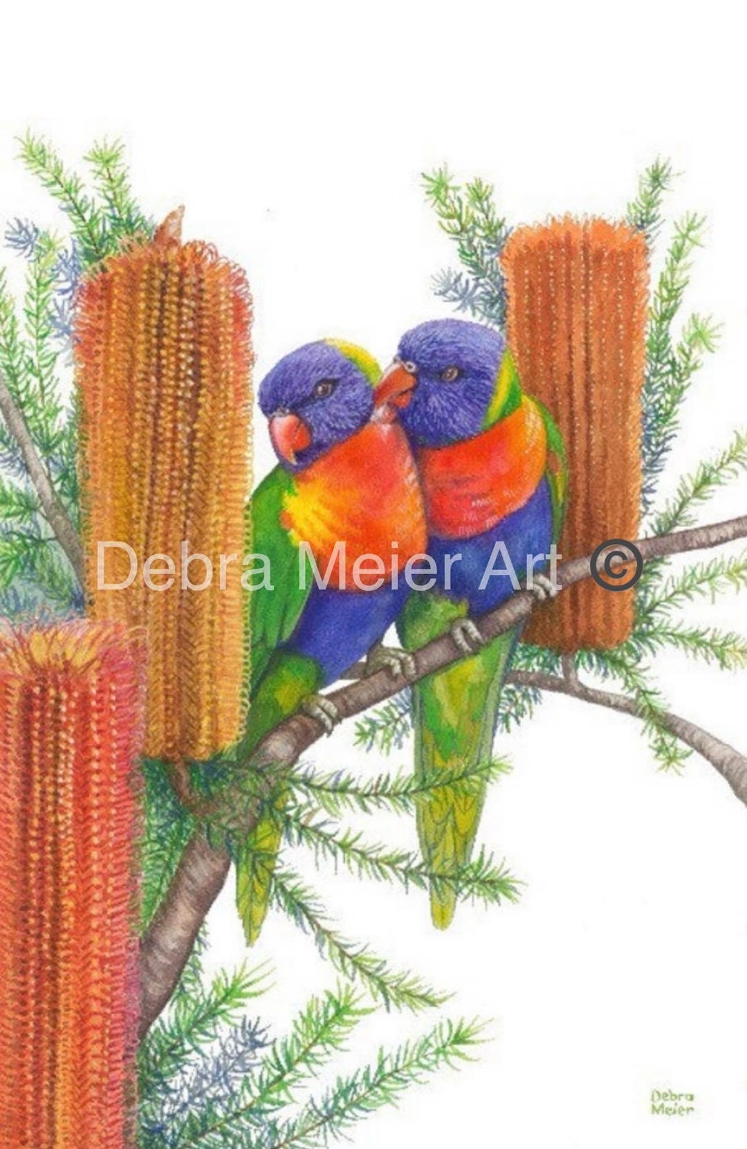 Lorikeet Rainbow Pair by Debra Meier Art, Native Bird Print, Australian ...