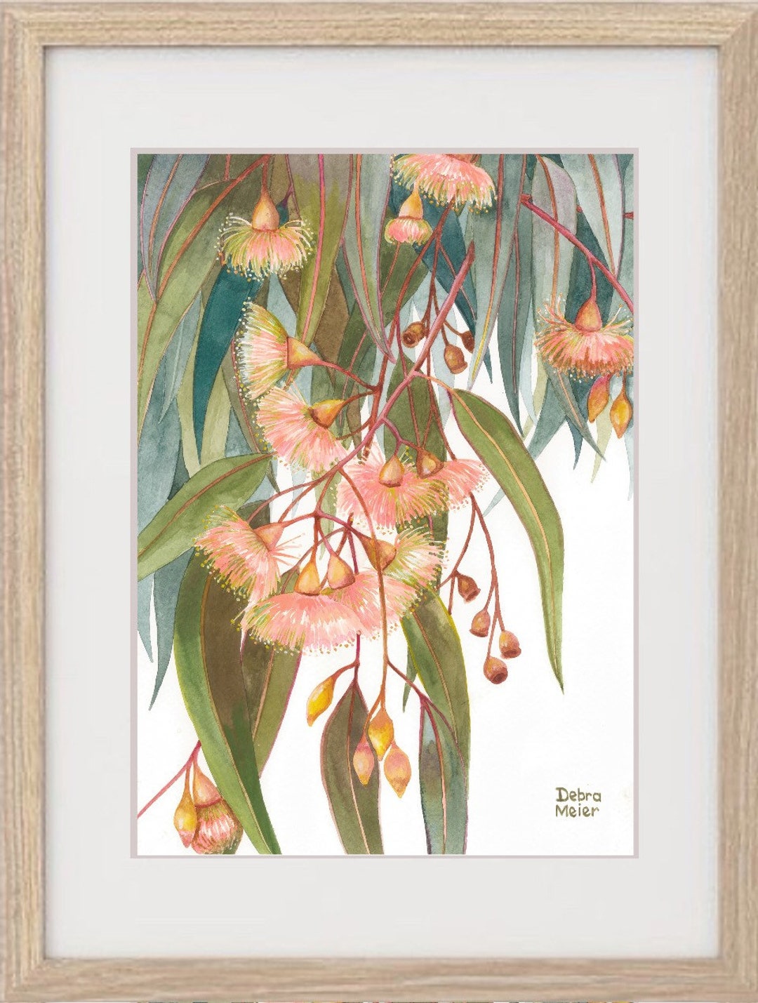 Soft Pink Gumblossoms Print Australian Native Print - Etsy