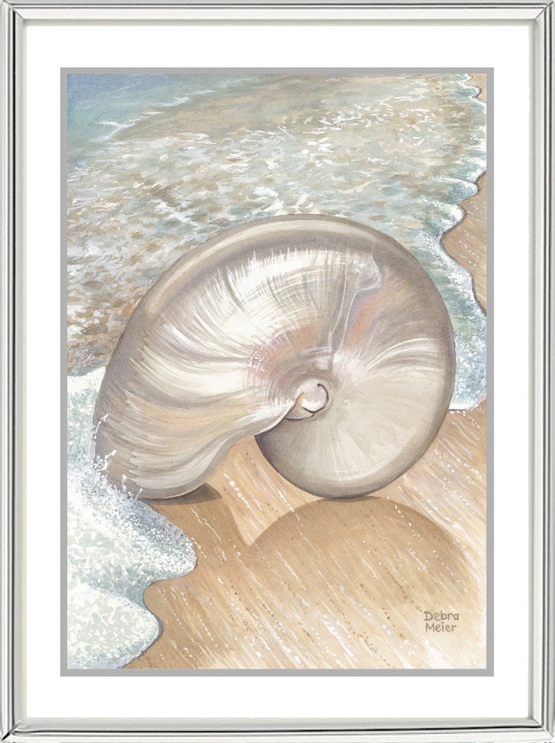 Shell Nautilus Print by Debra Meier Art, Shell Watercolour, Shell Art ...