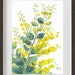 Wattle Sprig by Debra Meier Art, Wattle Wall Art, Australian Native Art ...