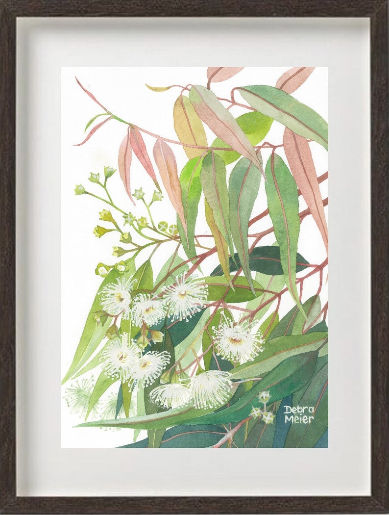 White Gumblossoms Gumblossom Print Gumtree Flower Wall Art - Etsy Australia