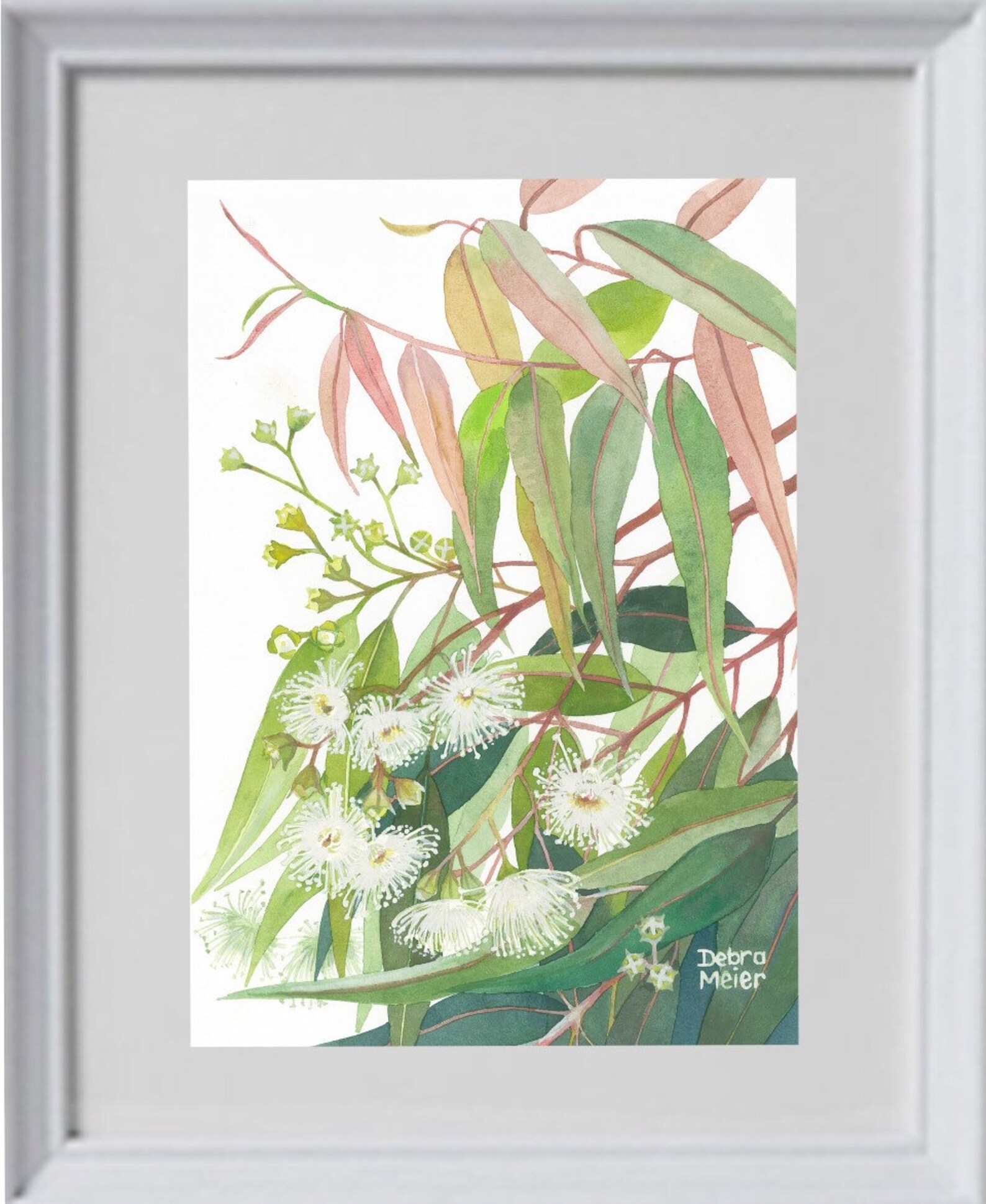 White Gumblossoms Gumblossom Print Gumtree Flower Wall Art | Etsy