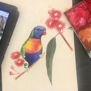 Backyard Bird Series by Debra Meier Art, Australian Native Bird Prints ...
