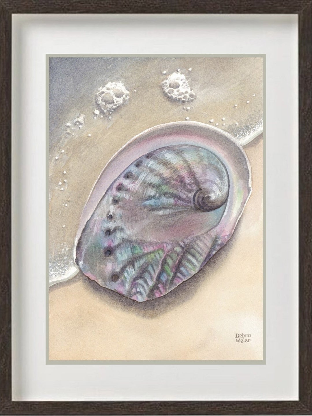 Abalone Shell Print by Debra Meier Art, Shell Watercolour, Shell Art ...