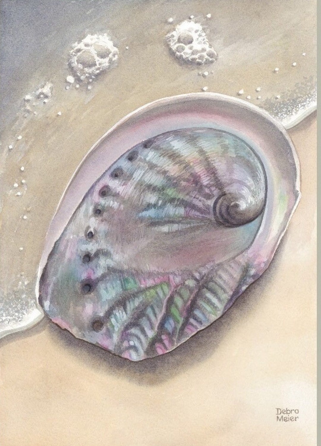 Shell Abalone Print by Debra Meier Art, Shell Watercolour, Shell Art ...