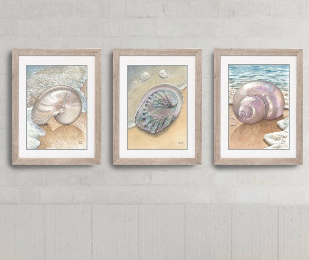 Shell Painting Trio by Debra Meier Art, Shell Watercolours, Shell Art ...