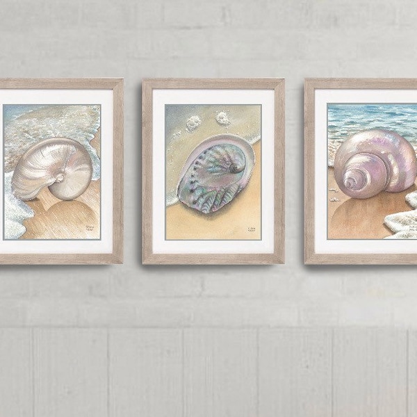 Shell Art - Etsy